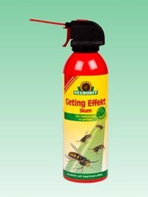 Getingfälla & getingfångare | Giftfria fällor | Skadedjursbekämpning